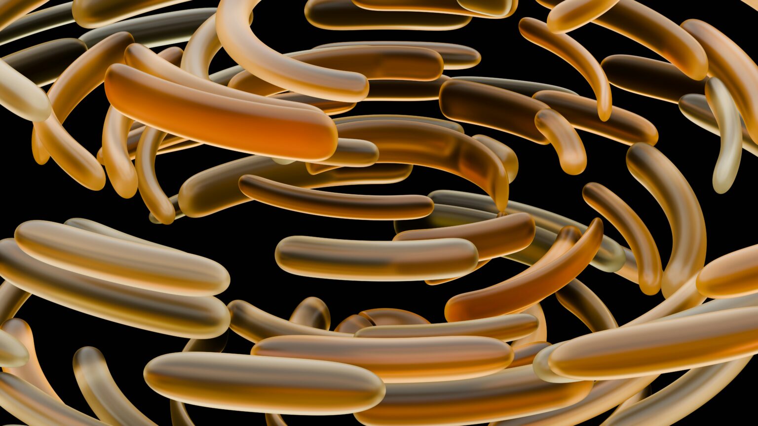 How Decomposers Break Down Dead Plants and Animals to Enrich Soil ...