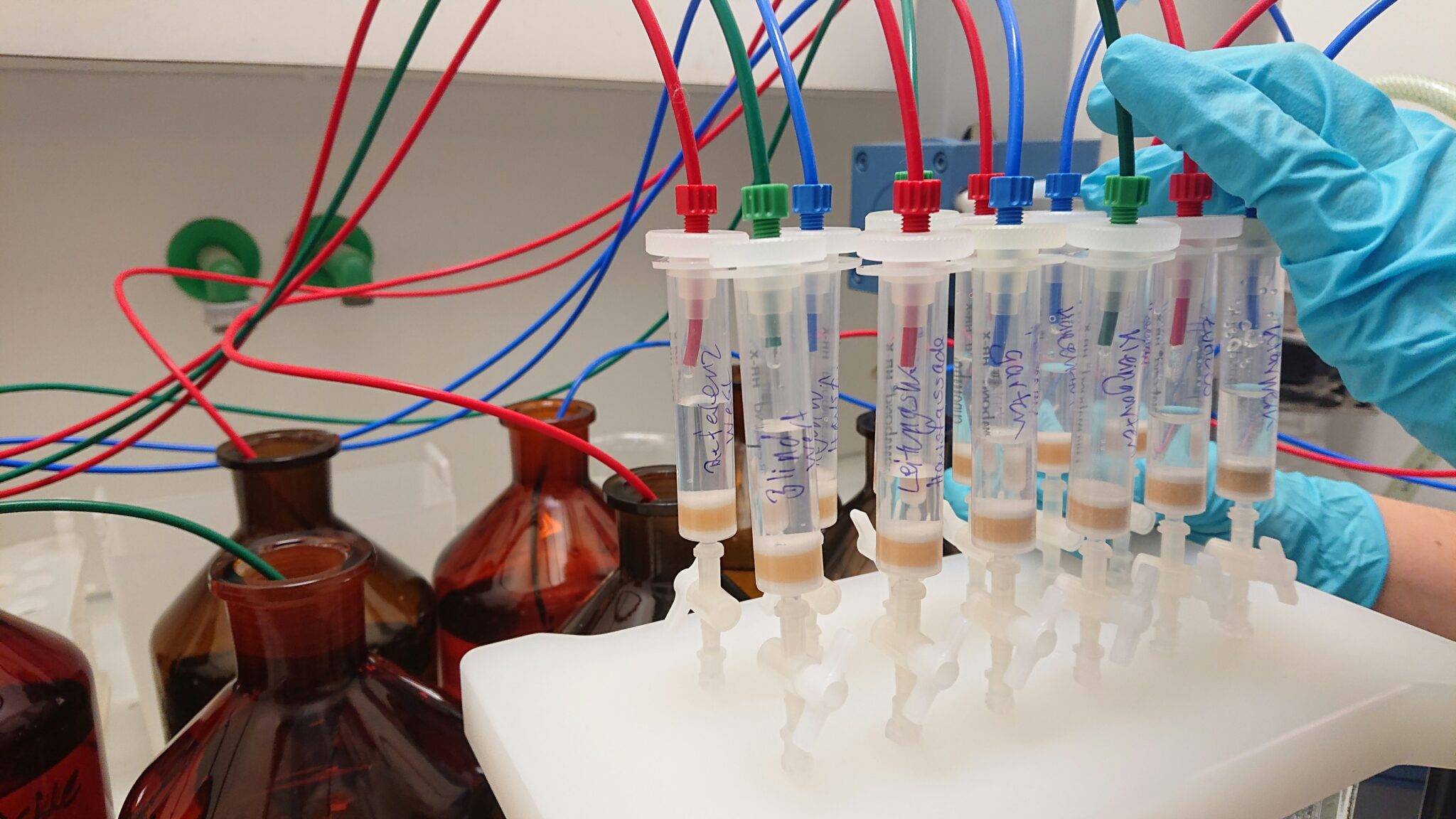 How Decomposers Break Down Dead Plants and Animals to Enrich Soil ...