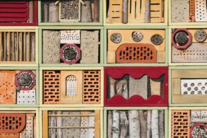 How to Build a Bug Hotel and Boost Backyard Biodiversity – Insect Hive