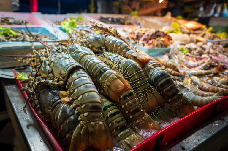 Can Insects Be the Future of Protein The Health Case for Eating Bugs ...