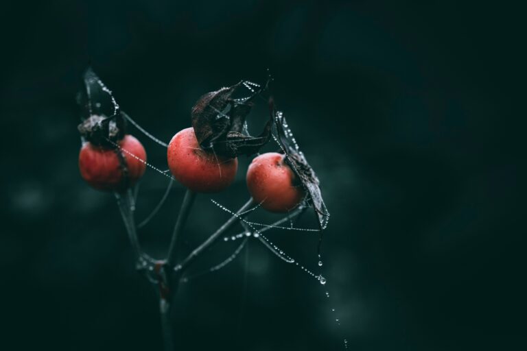 Can Insects Be the Future of Protein The Health Case for Eating Bugs ...