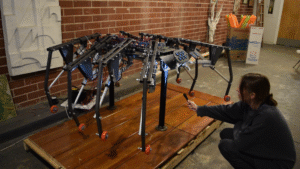 The Fastest Moving Non-Venomous Spider Ever Recorded – Insect Hive