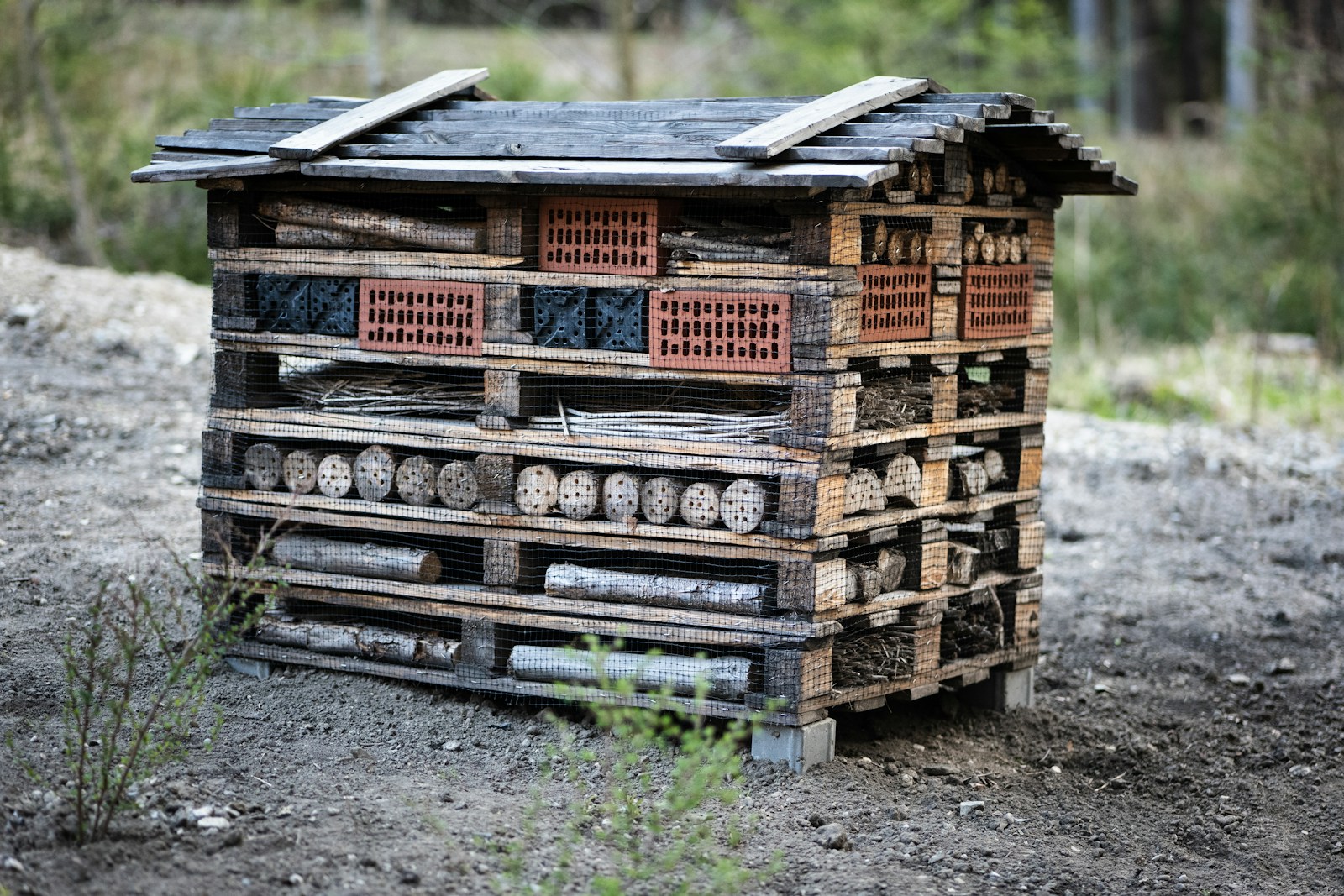 How to Build a Bug Hotel and Boost Backyard Biodiversity – Insect Hive