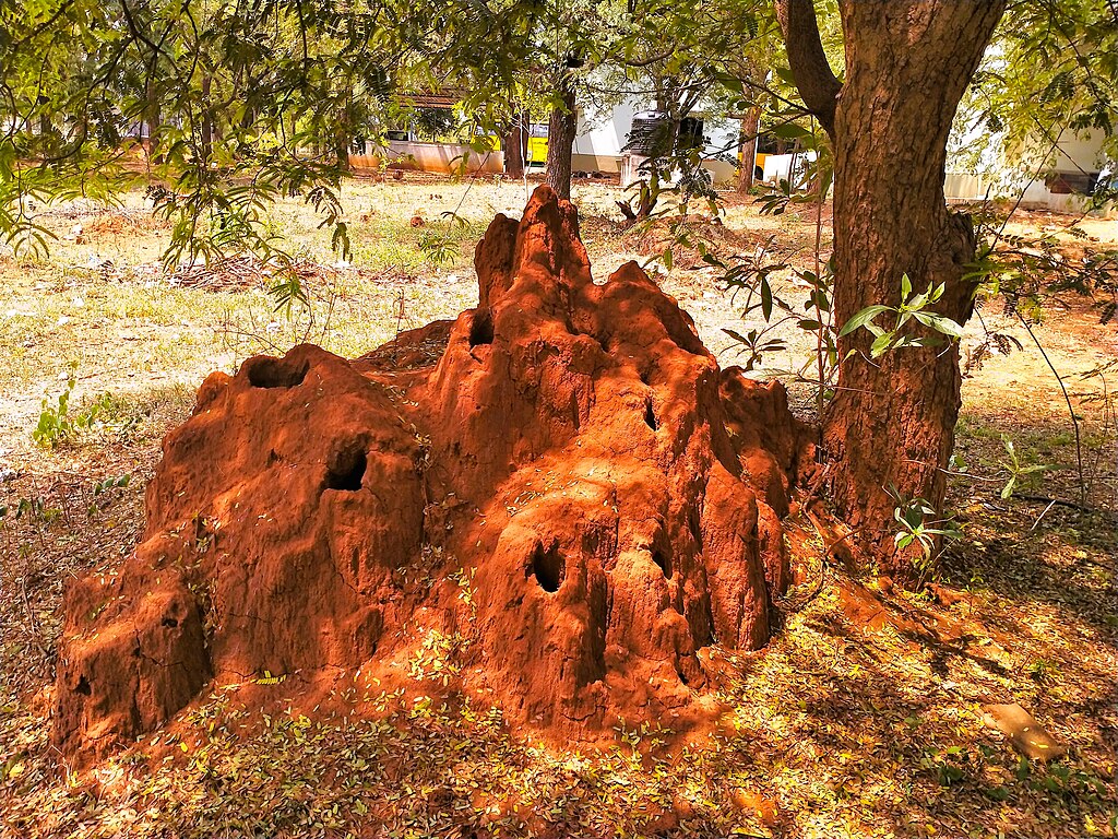 The Real Bugs That Inspired Movie Monsters – Insect Hive