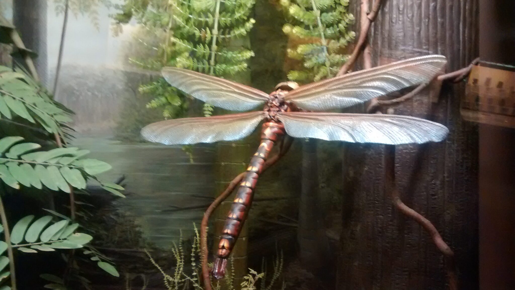 When Flight Evolved in Bugs: The Origins of Insect Aviation – Insect Hive