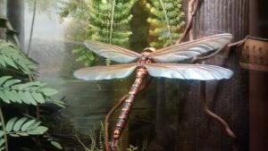 The First Insects on Earth: How They Took Over the Planet – Insect Hive