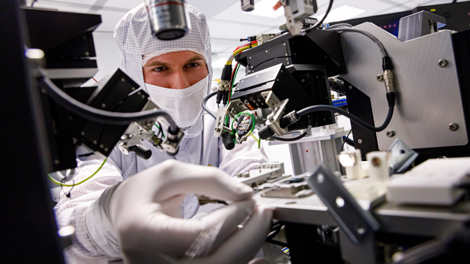 Do Insects Have Emotions? The Science Behind Bug Feelings – Insect Hive