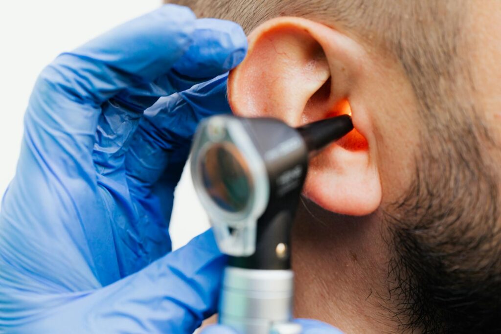 Why That Buzzing Near Your Ear Isn’t Random – Insect Hive