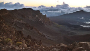 The First Insects on Earth: How They Took Over the Planet – Insect Hive