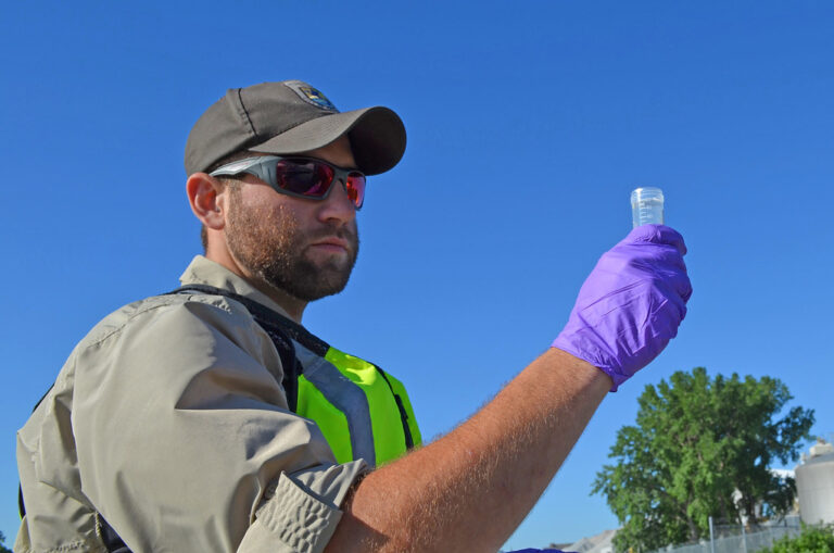 Why Some Scientists Study Insect Poop — And What They’re Finding ...