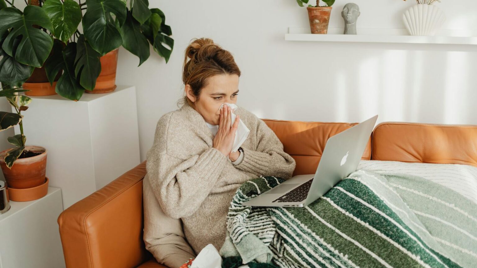 Stink Bug Invasion: Why This Bug Loves Your Home (and How to Stop It ...