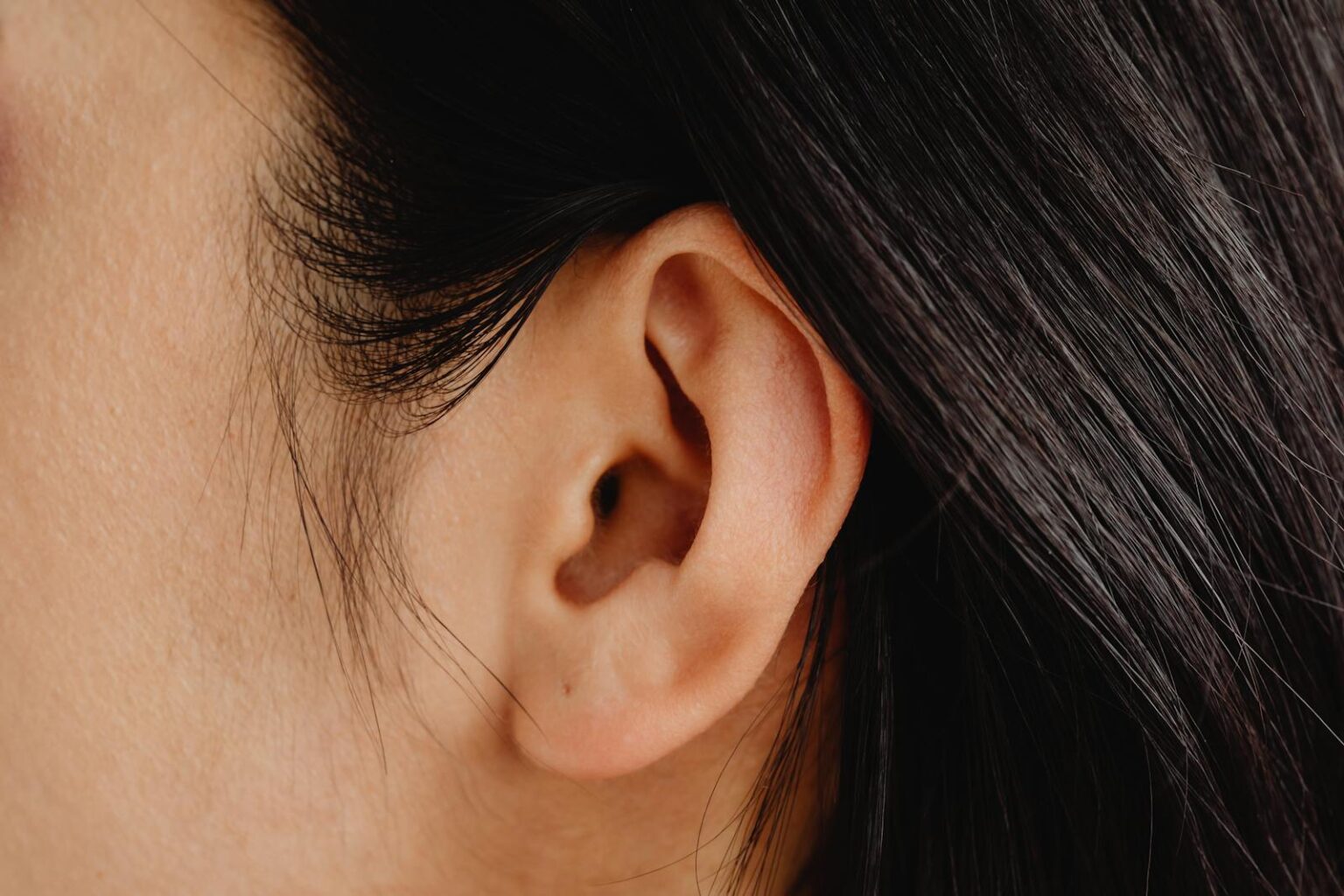 Why That Buzzing Near Your Ear Isn’t Random – Insect Hive