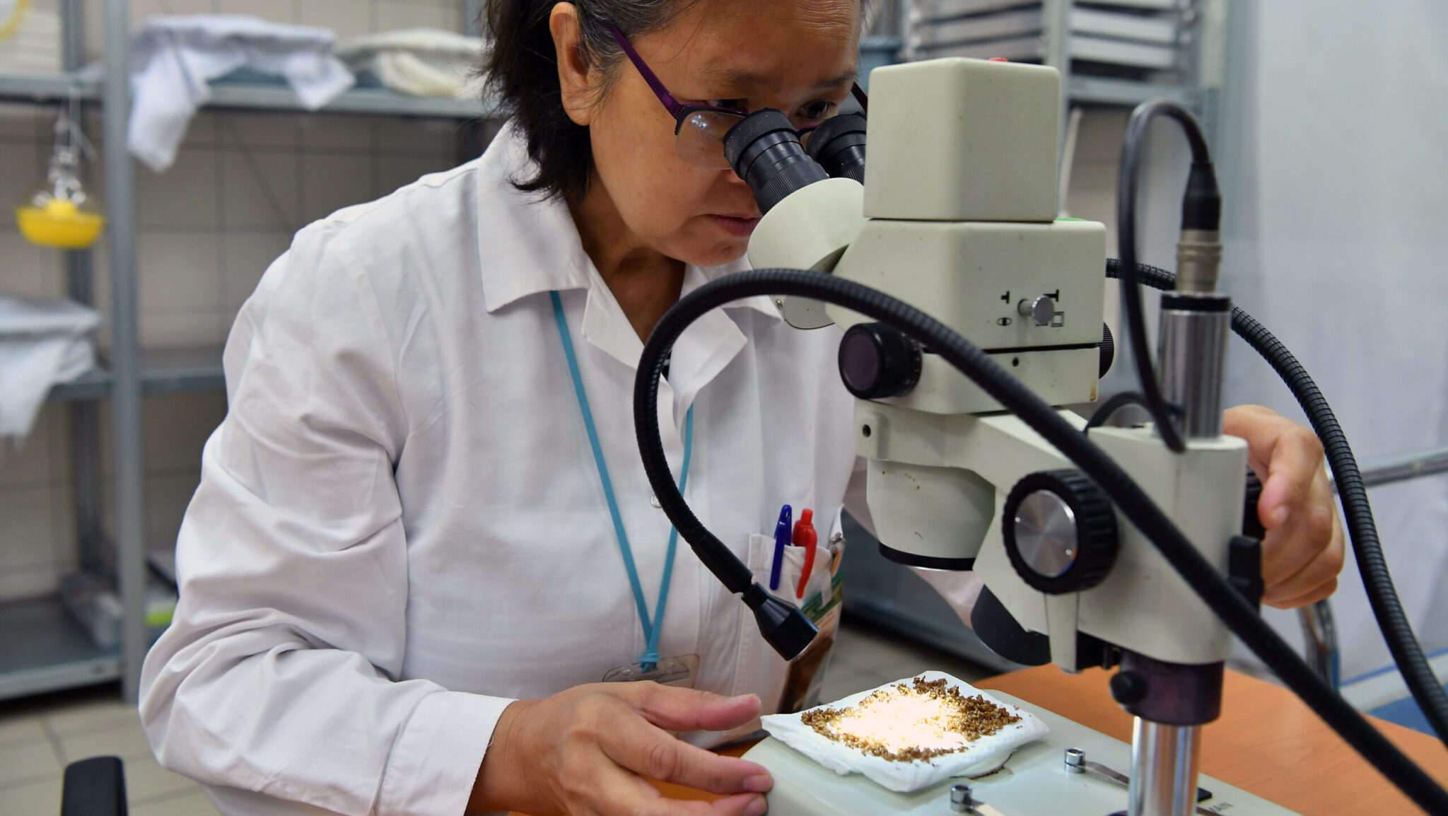 Do Insects Have Emotions? The Science Behind Bug Feelings – Insect Hive