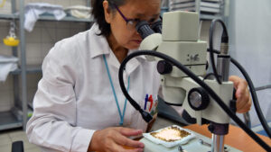 Do Insects Have Emotions? The Science Behind Bug Feelings – Insect Hive