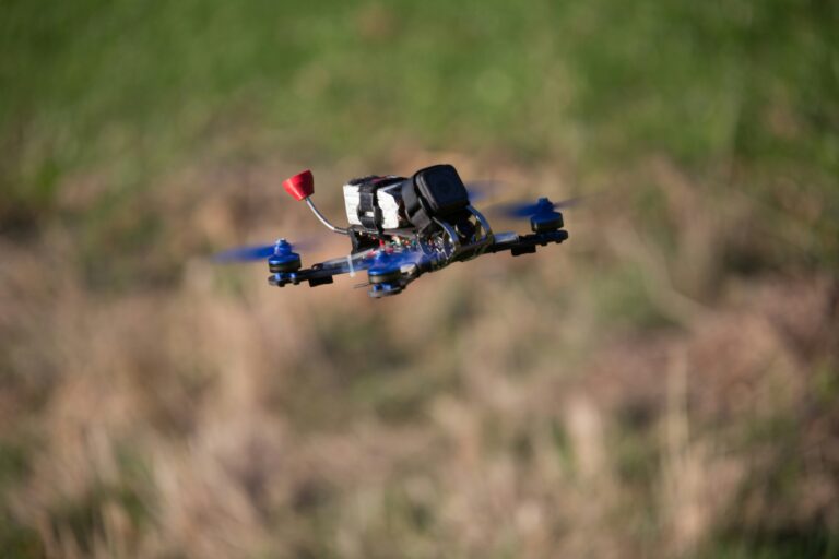 The Electric Bug Insects That Generate Voltage and How We Might Harness ...