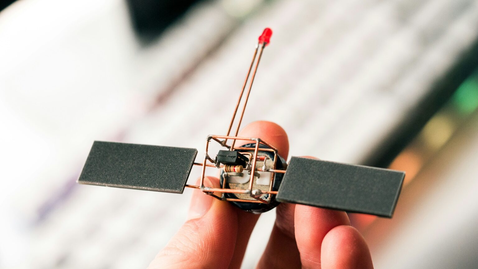 The Electric Bug Insects That Generate Voltage and How We Might Harness ...