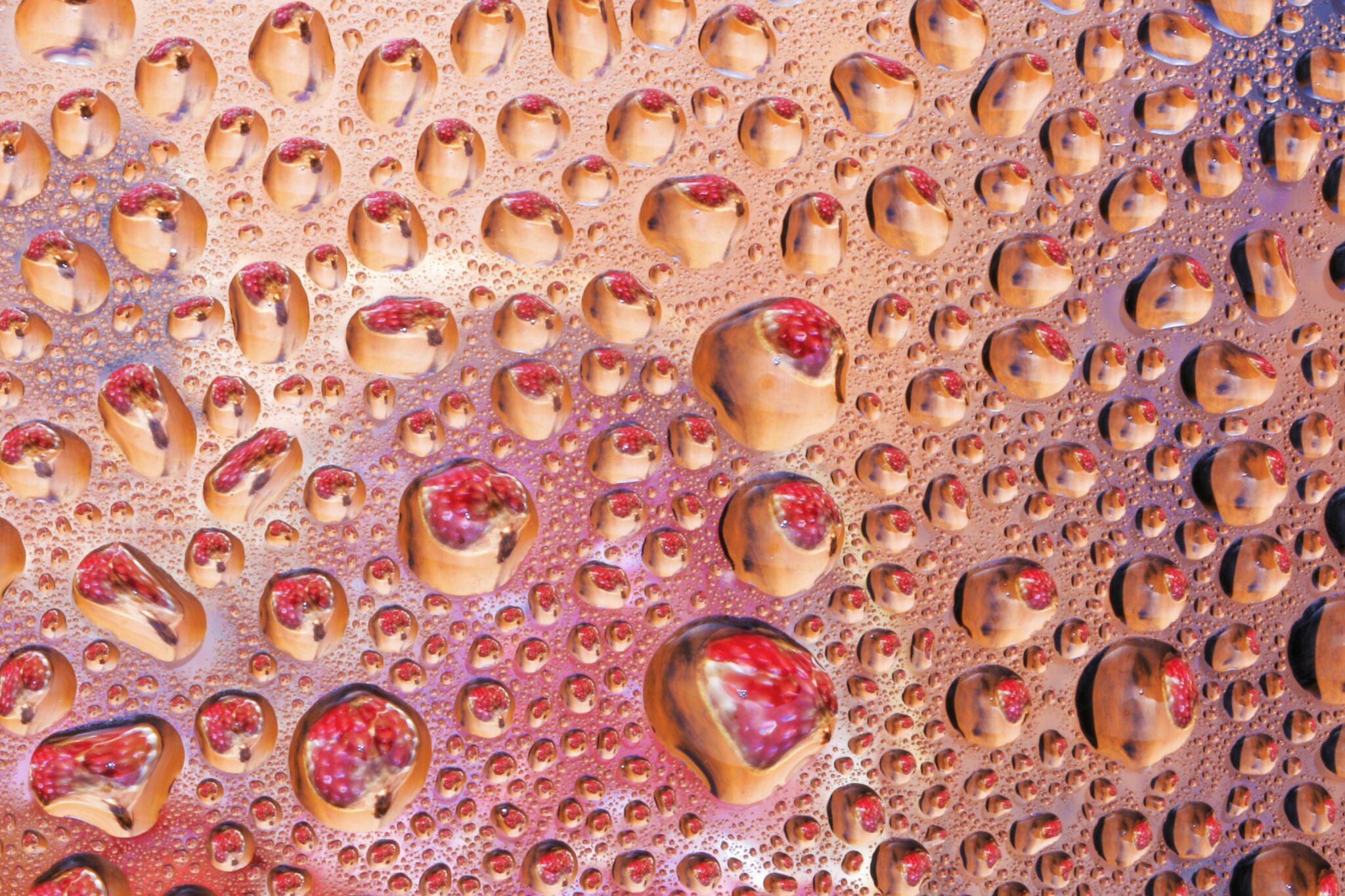 Insect Fragments in Your Makeup How Bugs Power the Beauty Industry ...