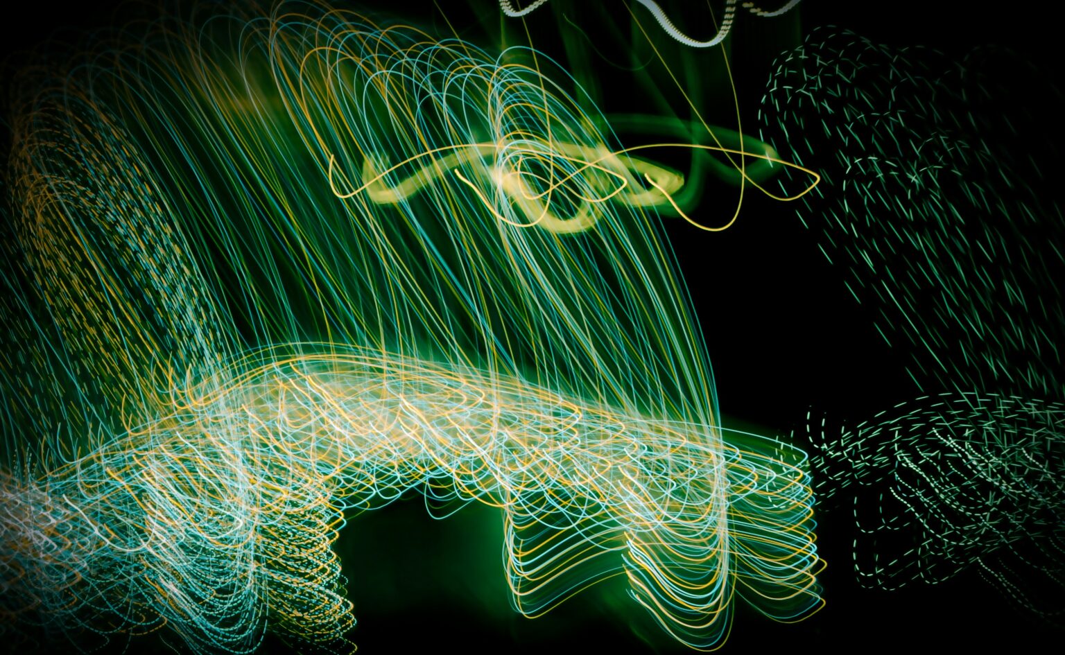 The Electric Bug Insects That Generate Voltage and How We Might Harness ...