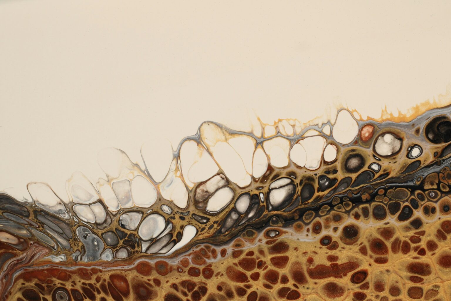 Insects That Breathe Without Lungs Evolutions Alternative Air System ...