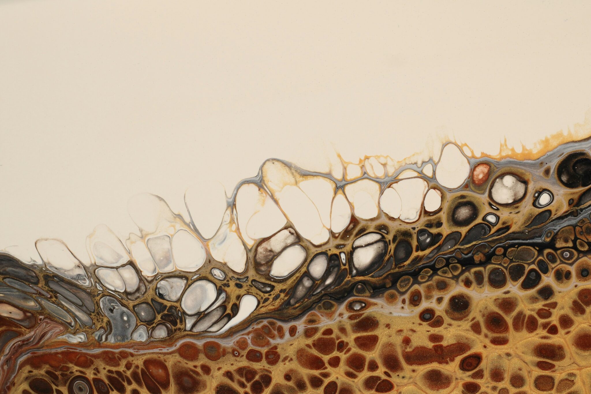 Insects That Breathe Without Lungs Evolutions Alternative Air System ...