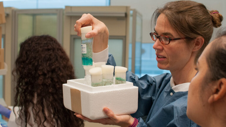 Fruit Flies in the Lab: How Tiny Bugs Help Us Understand Human Genes ...