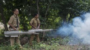 The Ethics of Killing Bugs: Are We Doing Enough (or Too Much)? – Insect ...