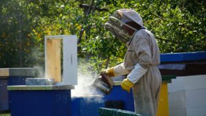 The Ethics of Killing Bugs: Are We Doing Enough (or Too Much)? – Insect ...