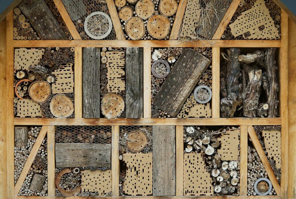 How to Build a Bug Hotel and Boost Backyard Biodiversity – Insect Hive