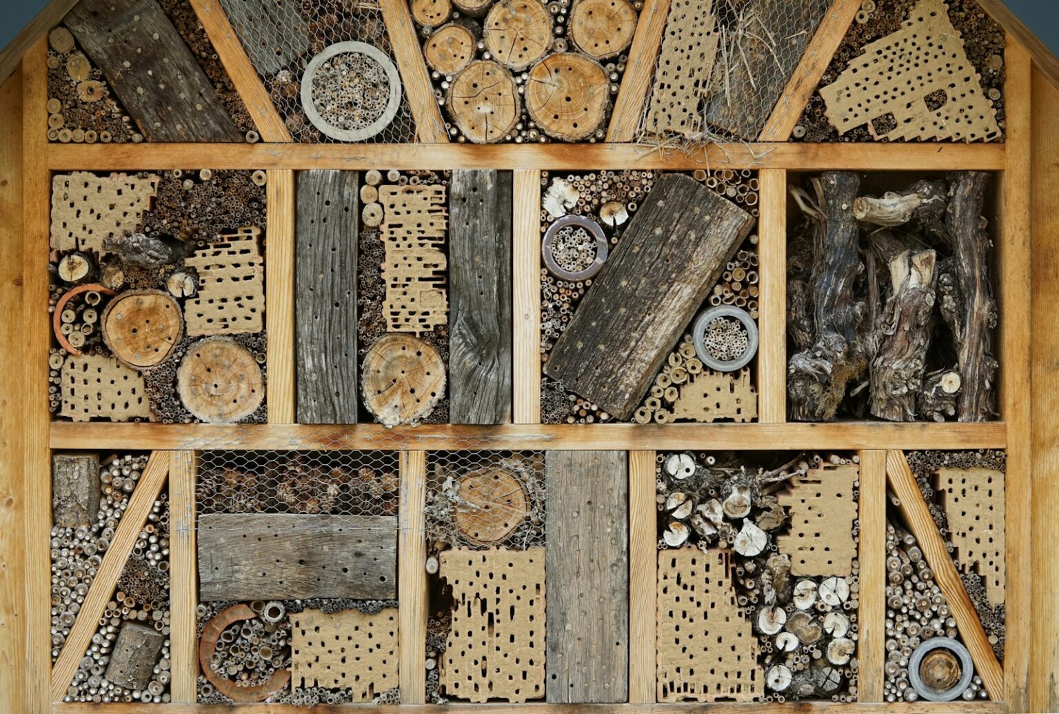 How to Build a Bug Hotel and Boost Backyard Biodiversity – Insect Hive