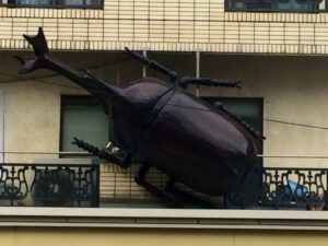 Kafka’s Metamorphosis: What Kind of Bug Did Gregor Samsa Actually ...