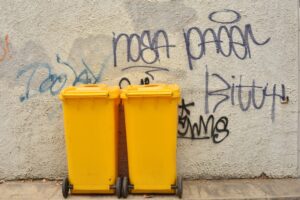 These Bugs Love Your Trash Can (and What You Can Do About It) – Insect Hive